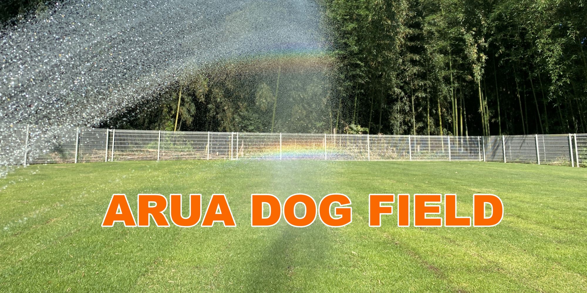 ARUA DOG FIELD
