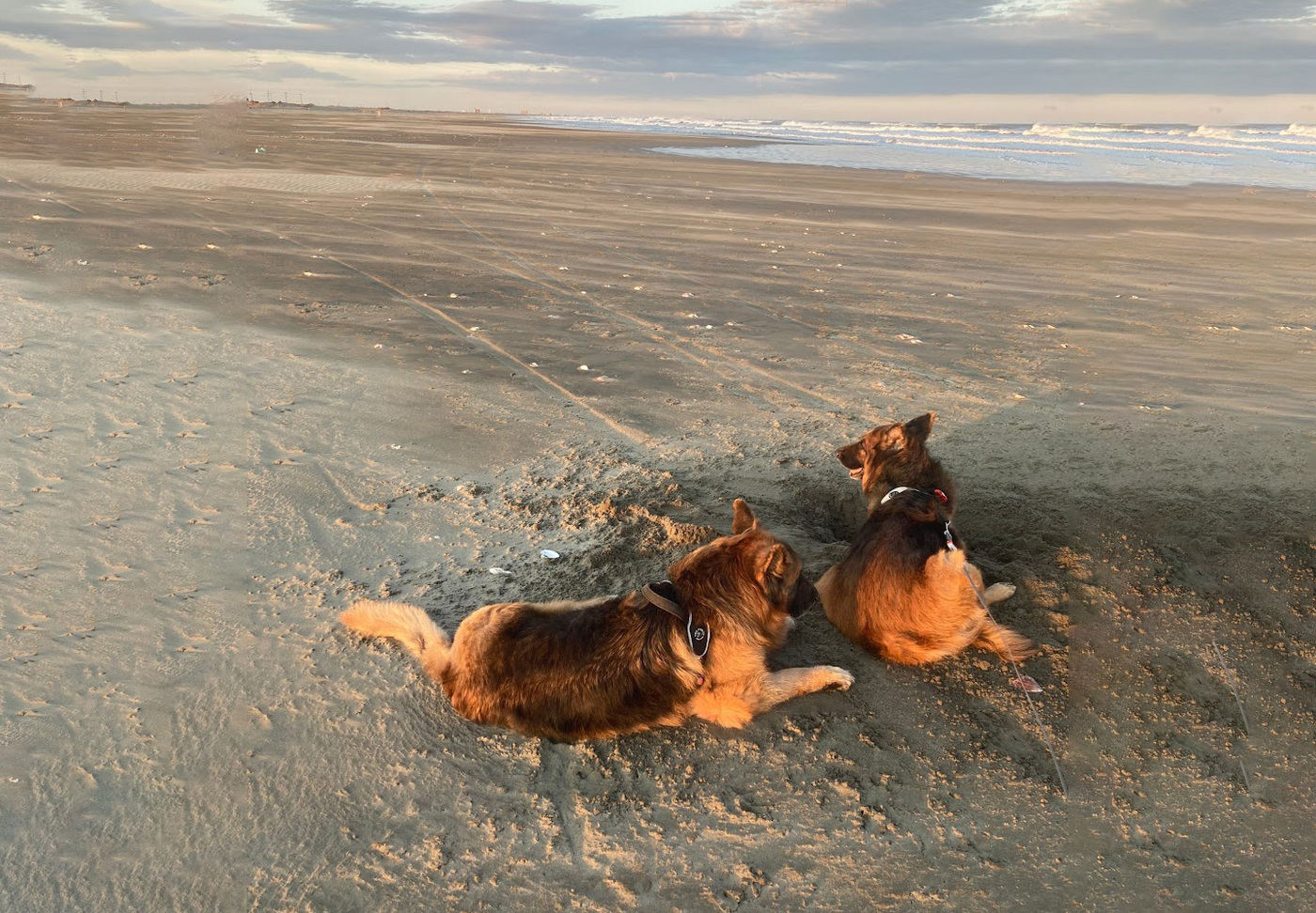 Precious One 予約サイト