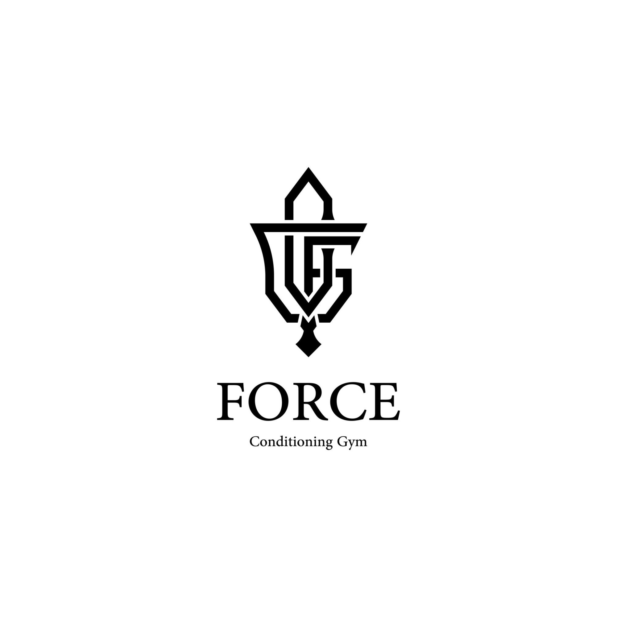 FORCE GYM