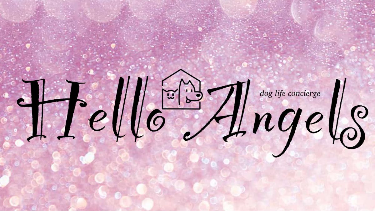Hello Angels予約