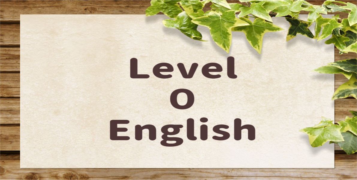 Level 0 English