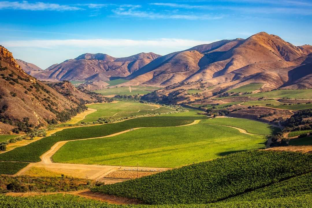 mateniイベント予約