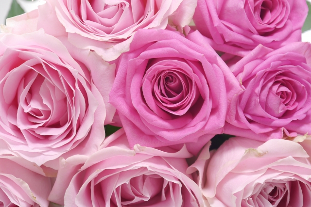 myumyuエステ予約サイト