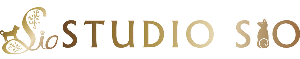 ペットと家族の写真館 STUDIO SIO