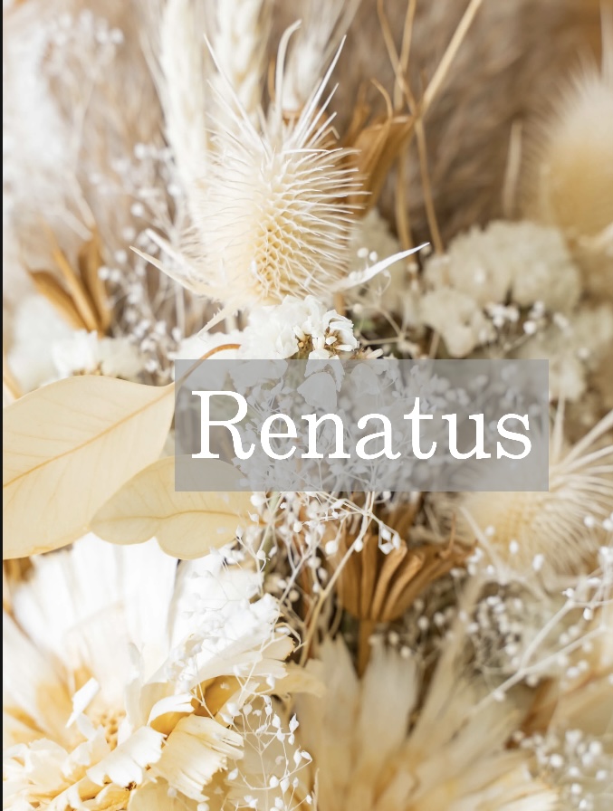 ホワイトニングサロン専門店Renatus予約サイト