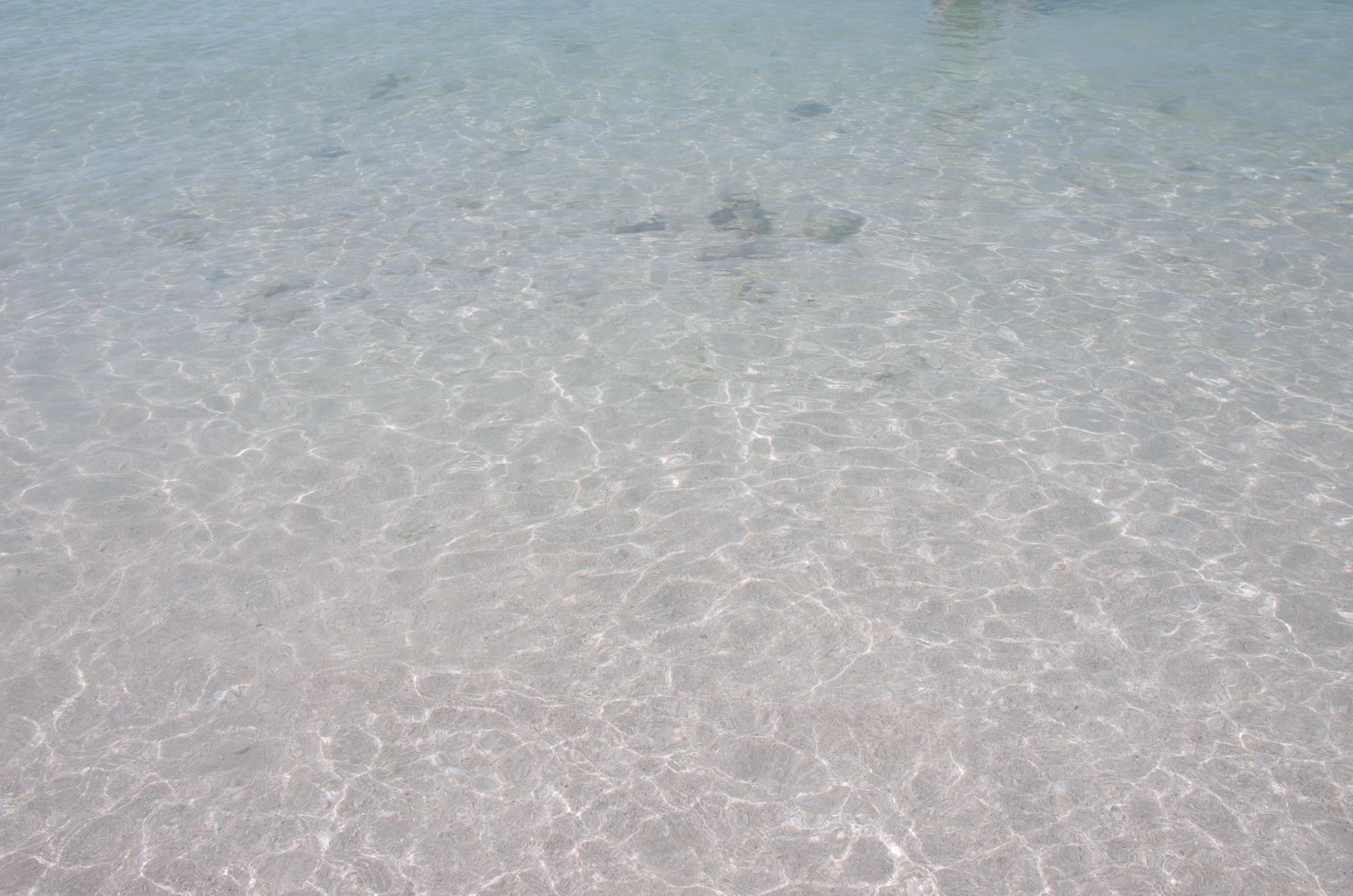 ritam 顧客様専用予約サイト