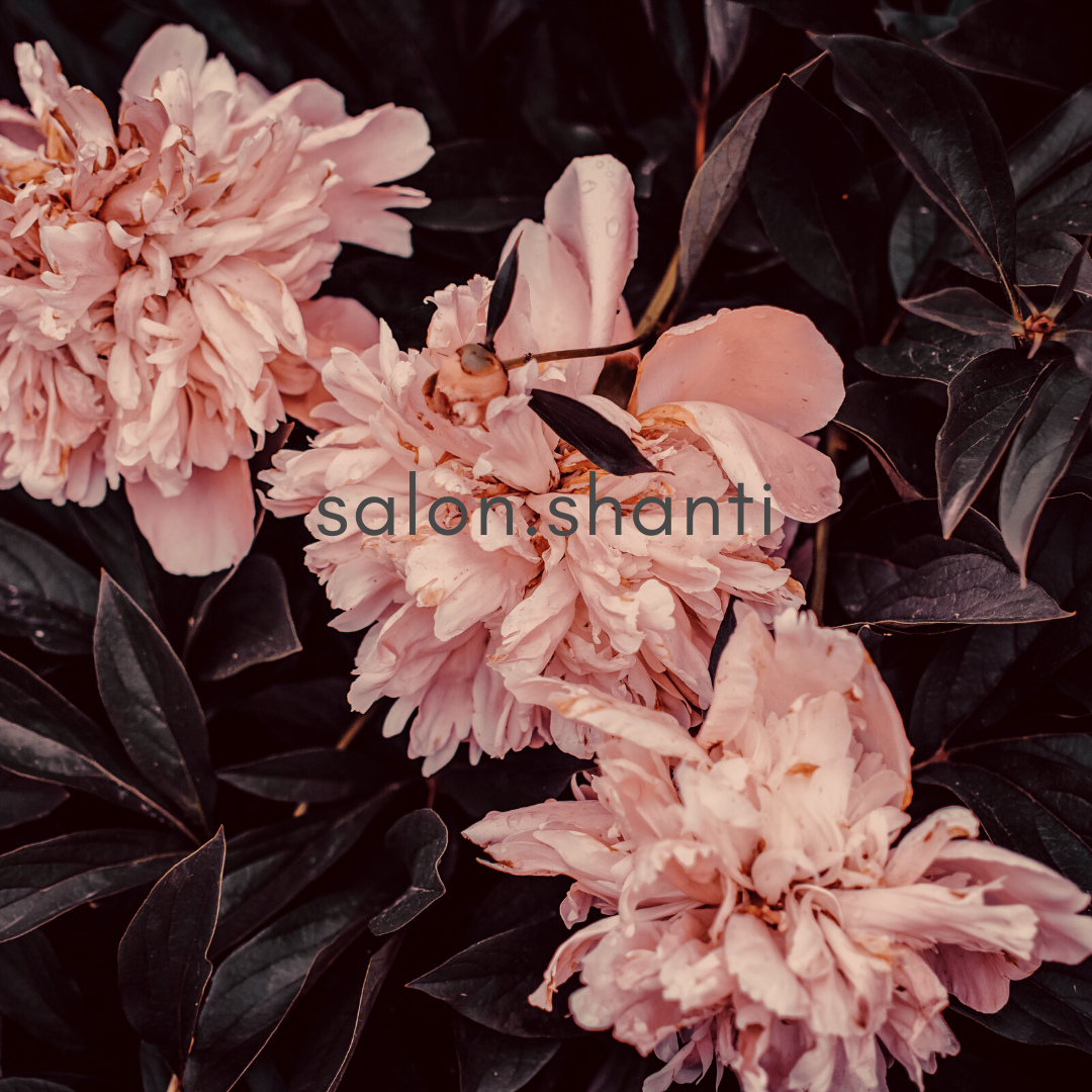 salon.shantiご予約
