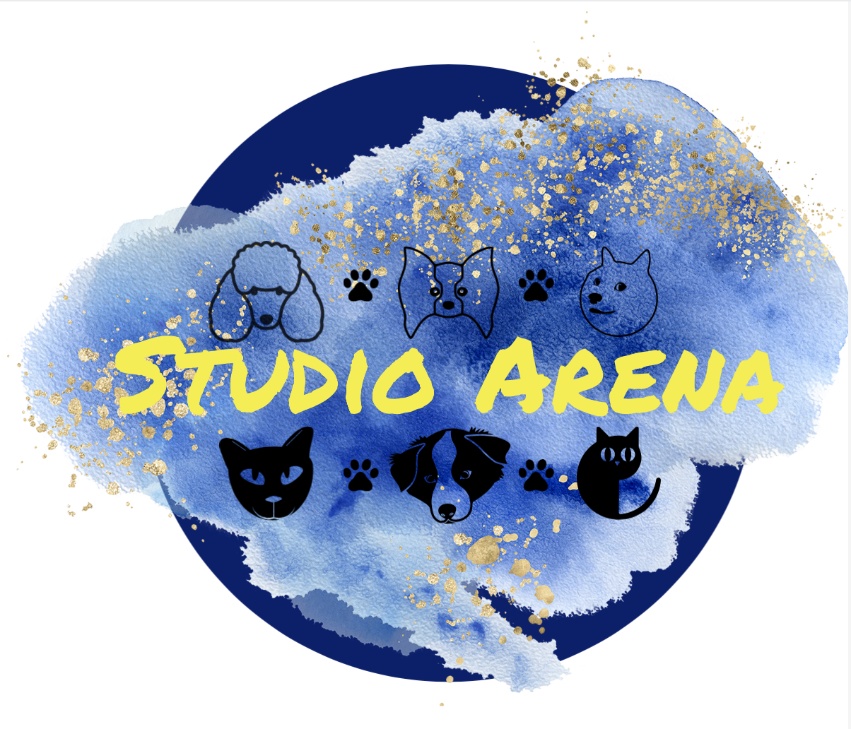 Studio Arena オンライン予約サイト