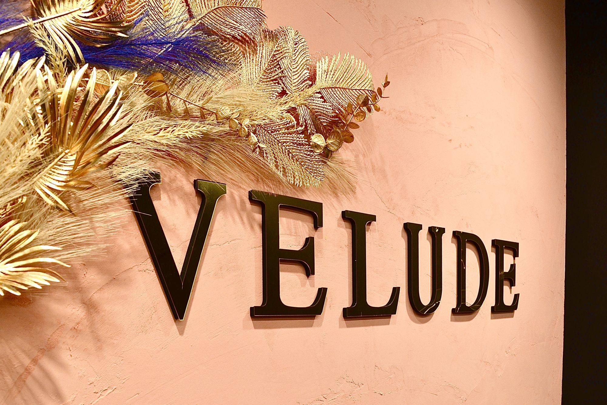 VELUDE